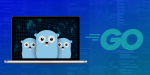 Top Reasons to Choose Golang for Your Next Project